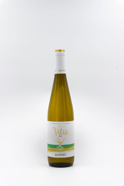 Llopart Vitis 2021 – elceller.com